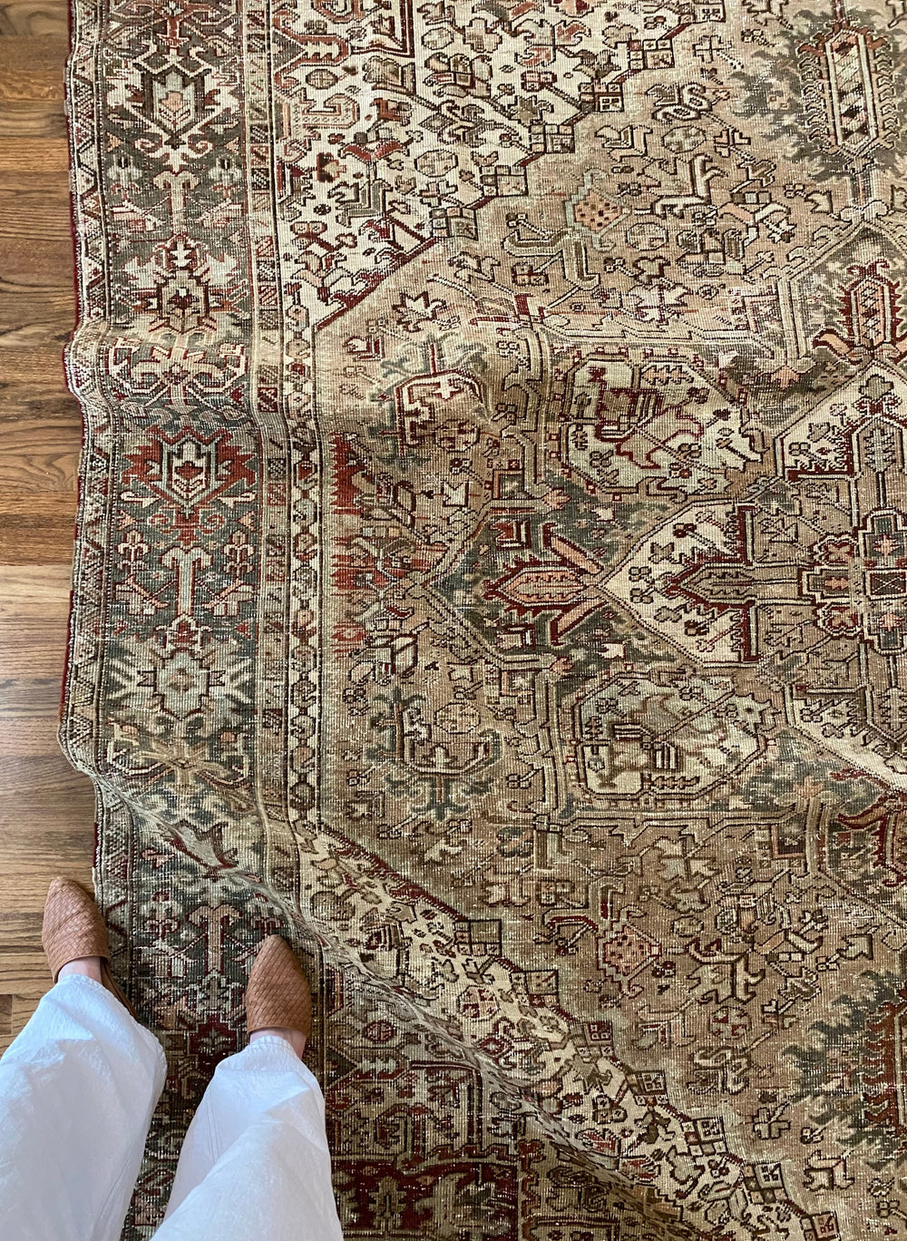 Two Sisters Rugs | Hand Knotted Wool Rugs